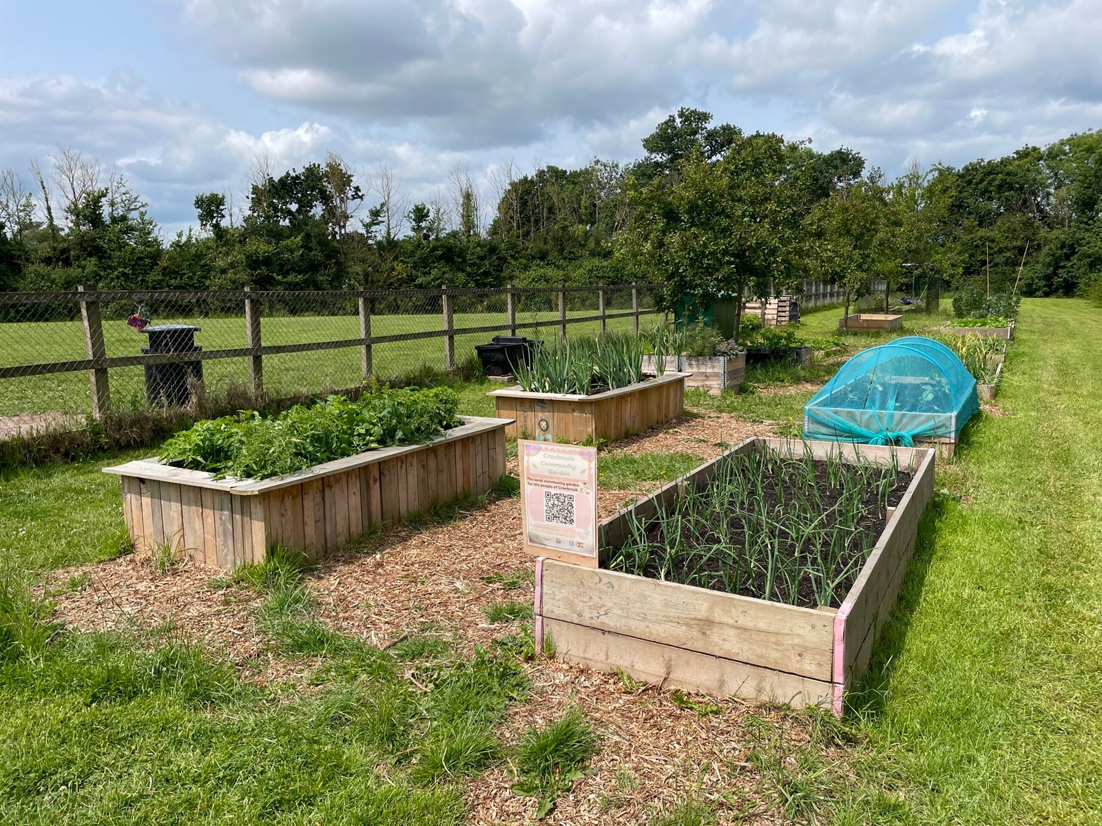 Welcome to Cranbrook Community Garden - YouGrow CIC
